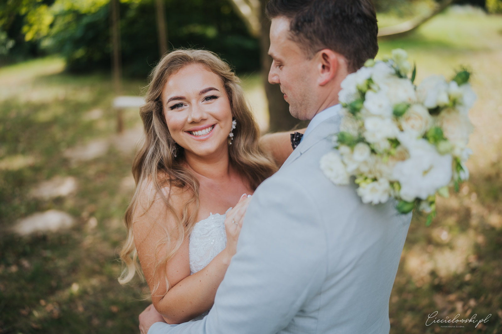 Pomrów – charakterystyka, występowanie i ciekawostki